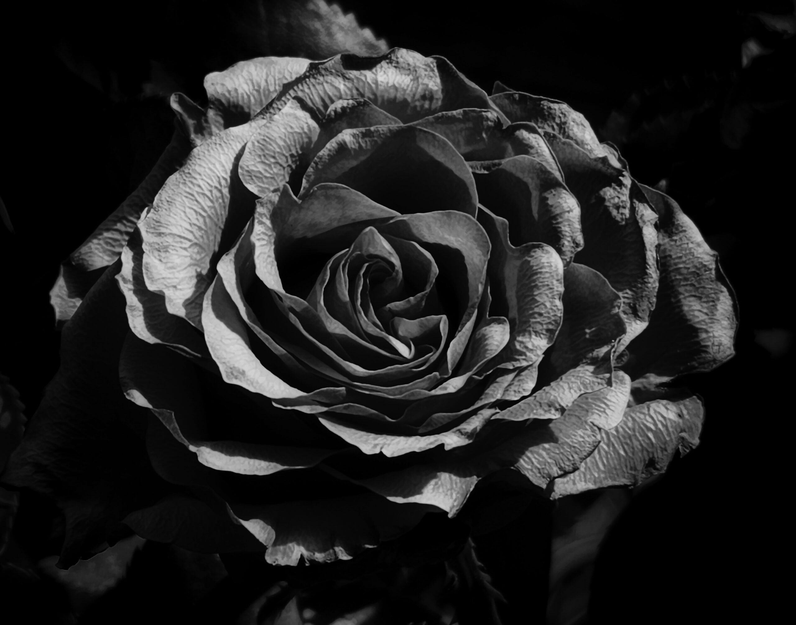 Auctions - Arthritis Research Canada